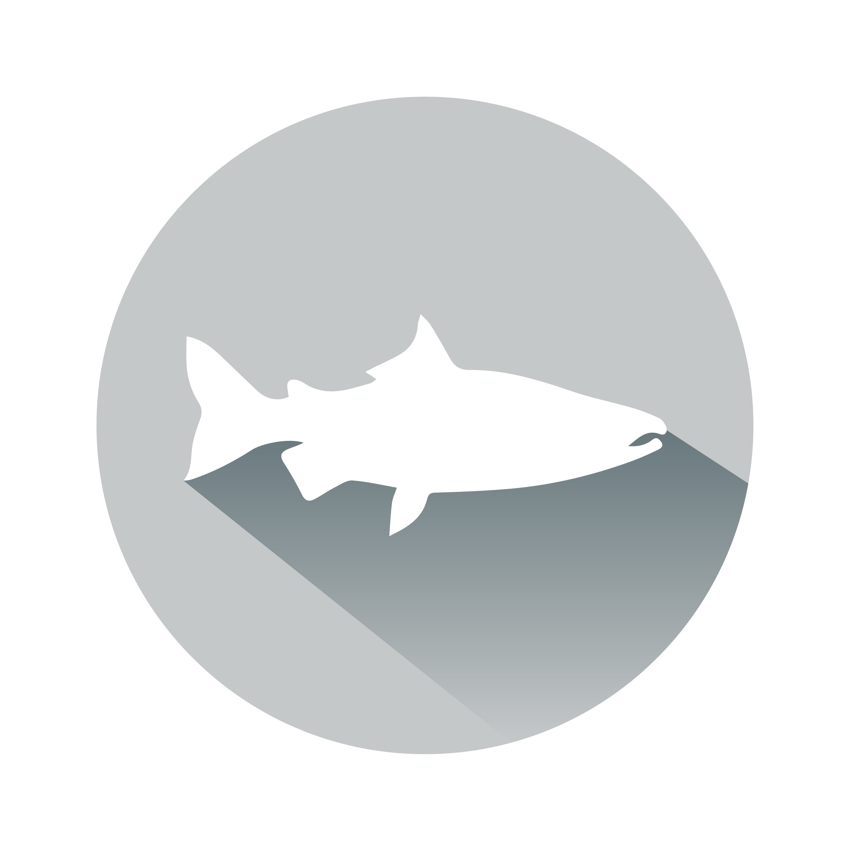 Caleb's Guide Service